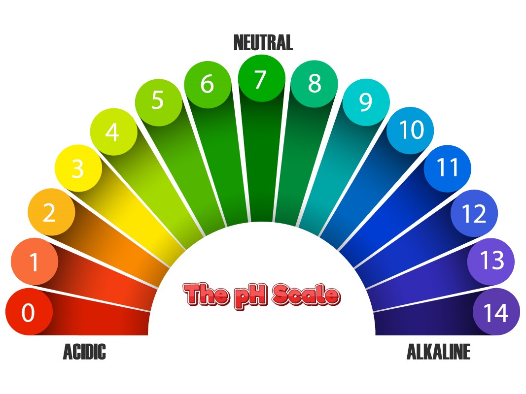 Mastering Soil pH for Healthier Plants and Better Yields - Agro Reality