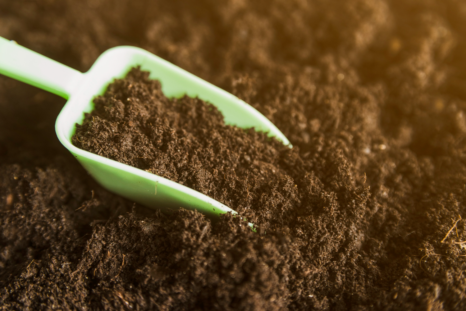 Organic Fertilizers for Better Soil Health & Yield - Agro Reality