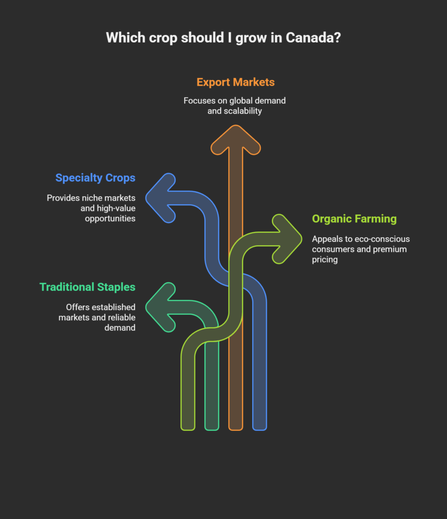 7 Most Profitable Crops to Grow in Canada - Agro Reality